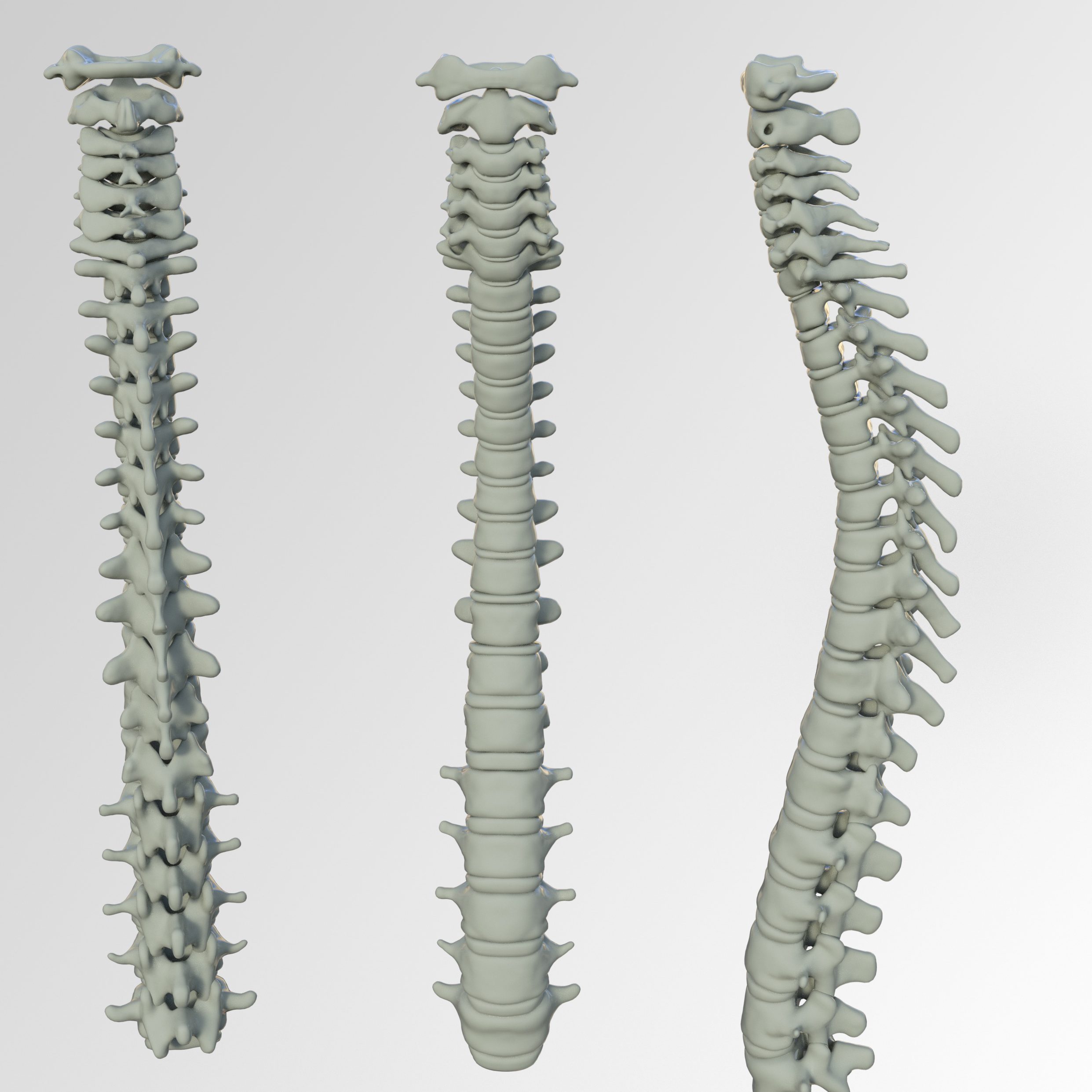 Taking care of an ageing spine - Spine Health & Back Pain Centre